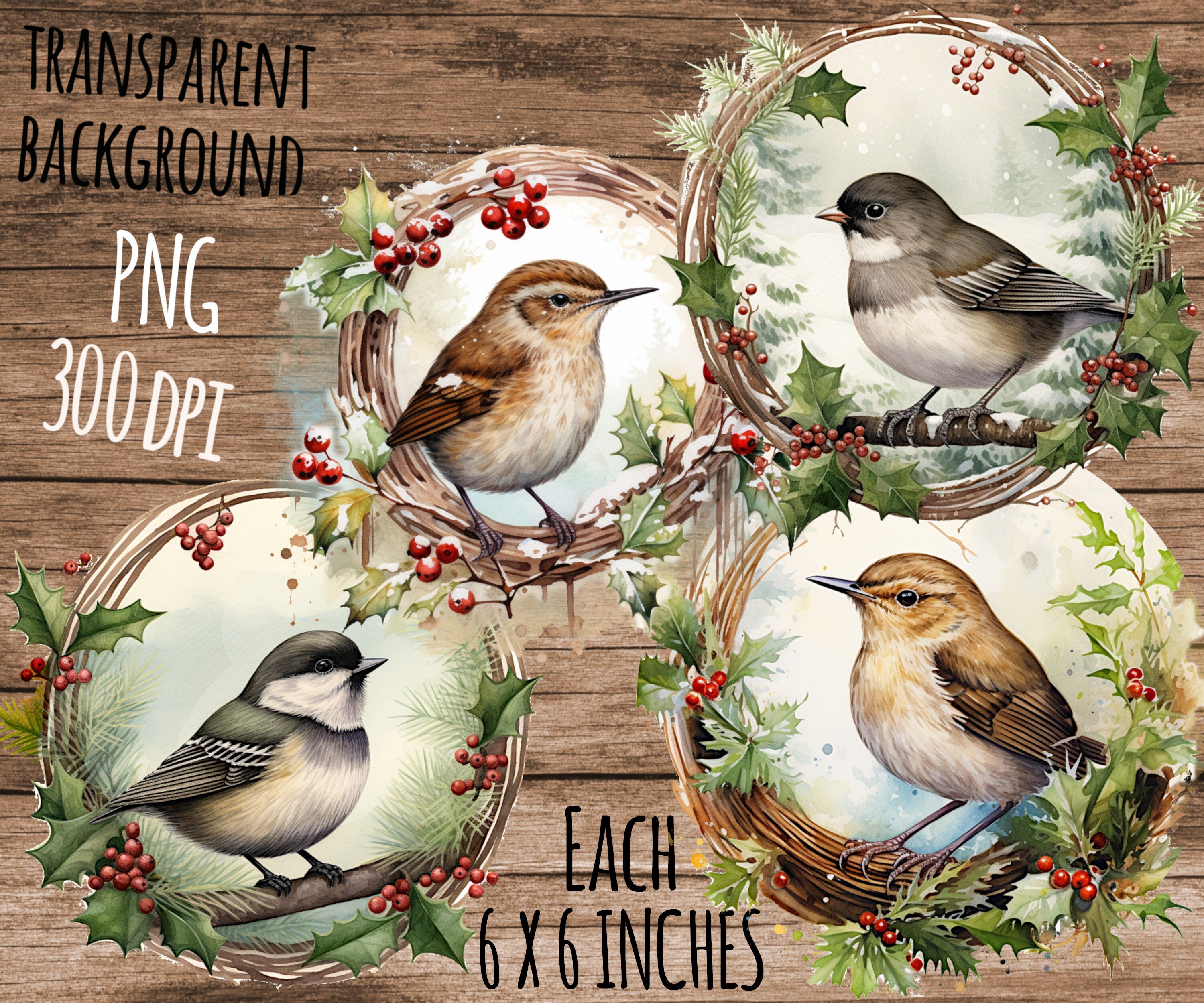 Watercolor Bird Wreath Printables Bundle Six 8x8 Inch Circular Bird ...