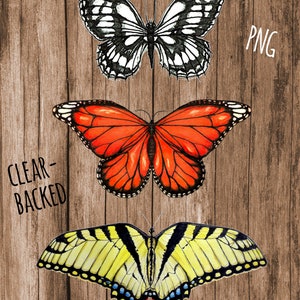 Three Butterflies Nature Illustration Insect Digital Printable PNG Art ...