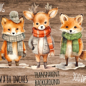 Woodland Animal Friends Wearing Scarves Set of 8 Watercolor Clip Art ...
