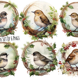 Watercolor Bird Wreath Printables Bundle Six 8x8 Inch Circular Bird ...