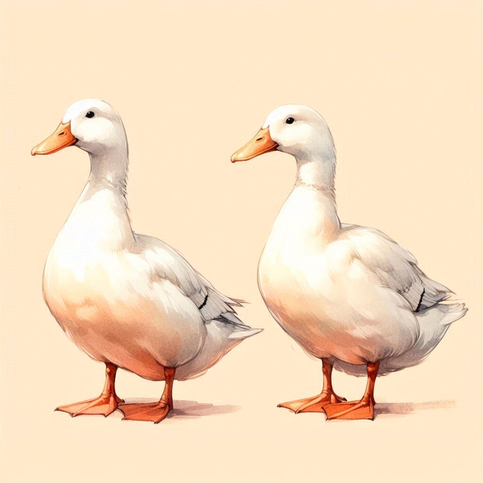 Watercolor Ducks Printable Pngs Set of 3 PNG Prints With Transparent ...