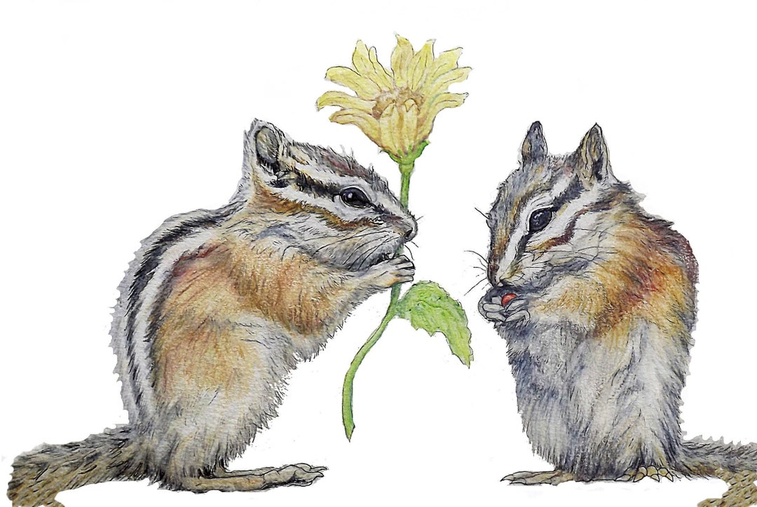 Forest Animals Digital Printable - Drawing of Chipmunks Exchanging ...