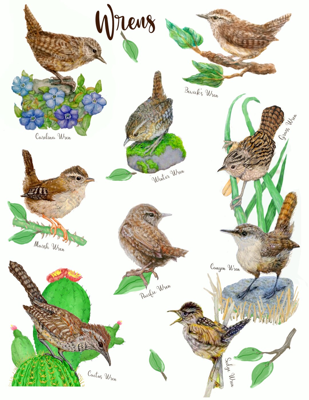 Watercolor Wrens Printable Bird Art to Download Planner Collage Sheet ...