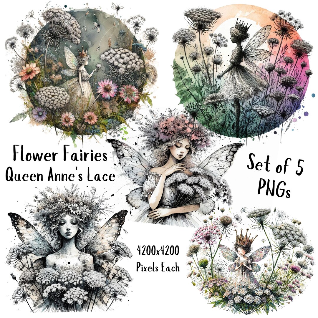 Flower Fairies Queen Anne's Lace Wildflower Fairy Pngs Set of 5 Fairy ...