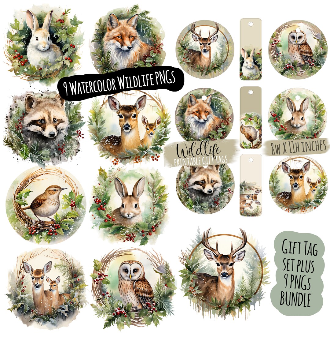 Watercolor Wildlife Clip Art Bundle: Set of 9 Animal Pngs 8x8 Inches in ...