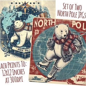 North Pole Bear Graphics Set of 2 Jpgs Clip Art Animal Printables Polar ...
