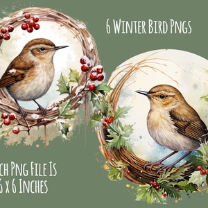 Watercolor Bird Wreath Printables Bundle Six 8x8 Inch Circular Bird ...