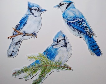 Blue Jay Stickers | Etsy