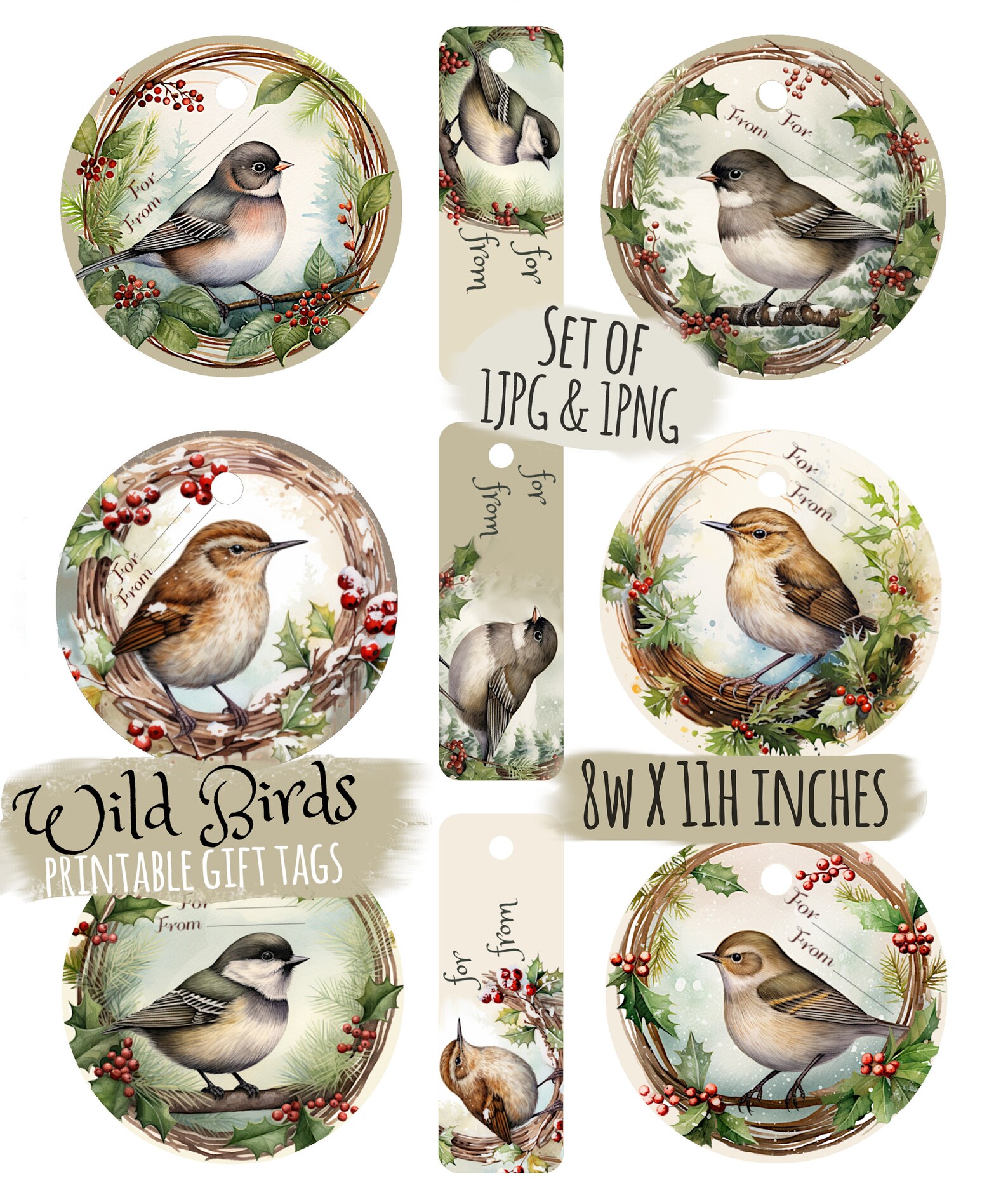 Watercolor Bird Wreath Printables Bundle Six 8x8 Inch Circular Bird ...