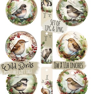 Watercolor Bird Wreath Printables Bundle Six 8x8 Inch Circular Bird ...