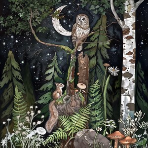 Moonlight Forest Fawns and Owl Animal Prints Set of Four Digital Animal ...
