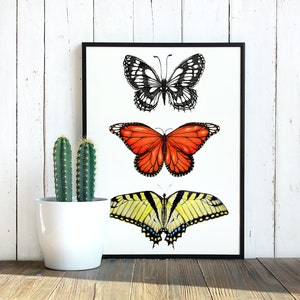 Three Butterflies Nature Illustration Insect Digital Printable PNG Art ...