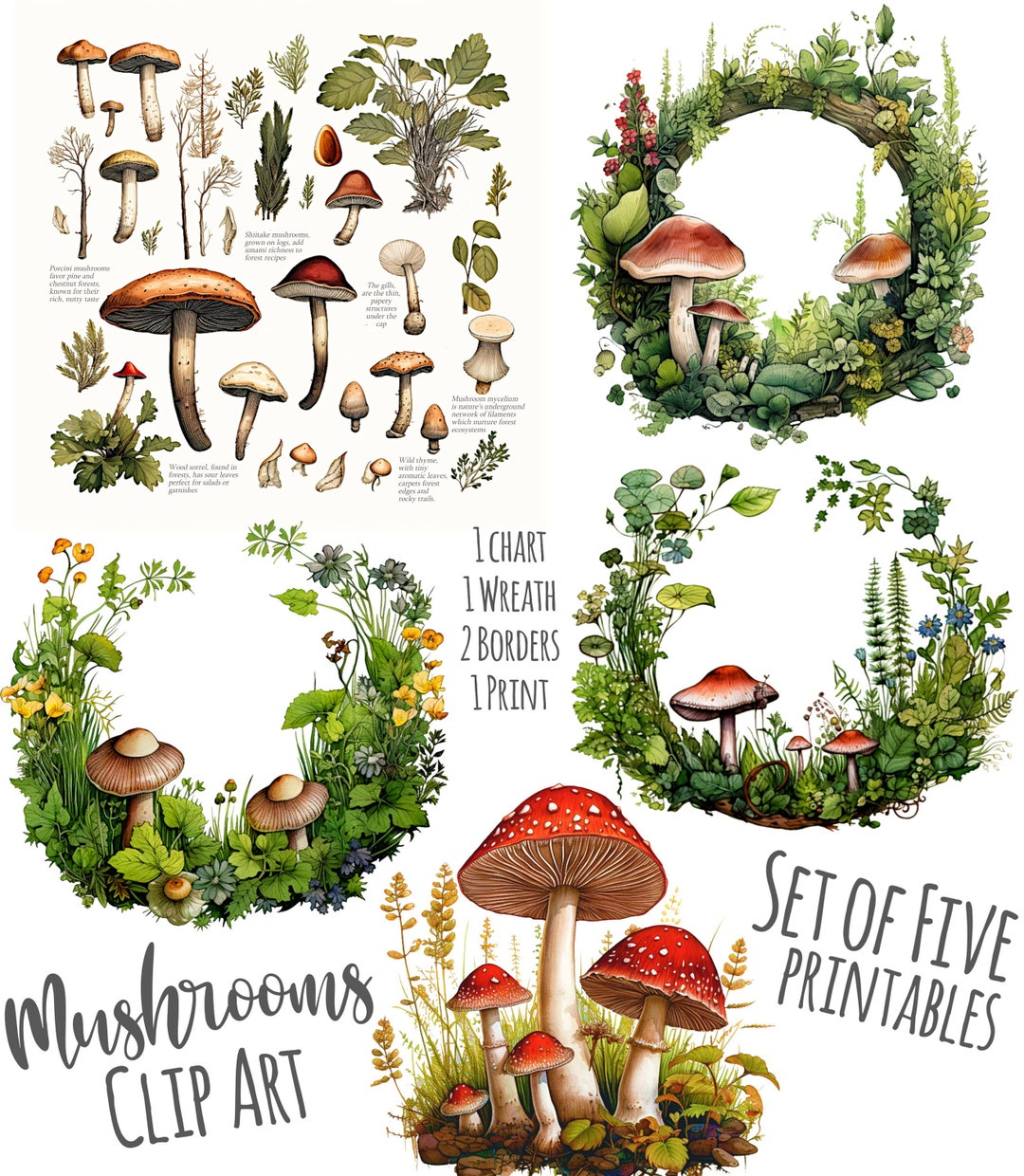 Forest Mushroom Pngs Set of 5 Mushroom Illustration Printables 12x12 ...