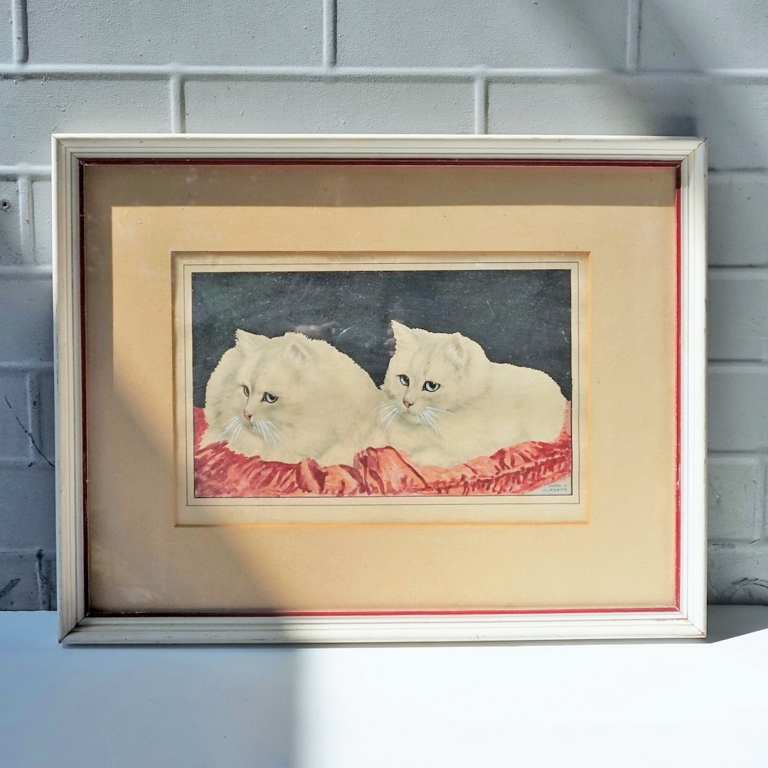 2 White Cats / Framed Image of Regal Cats / Enhanced Photo / Restful ...