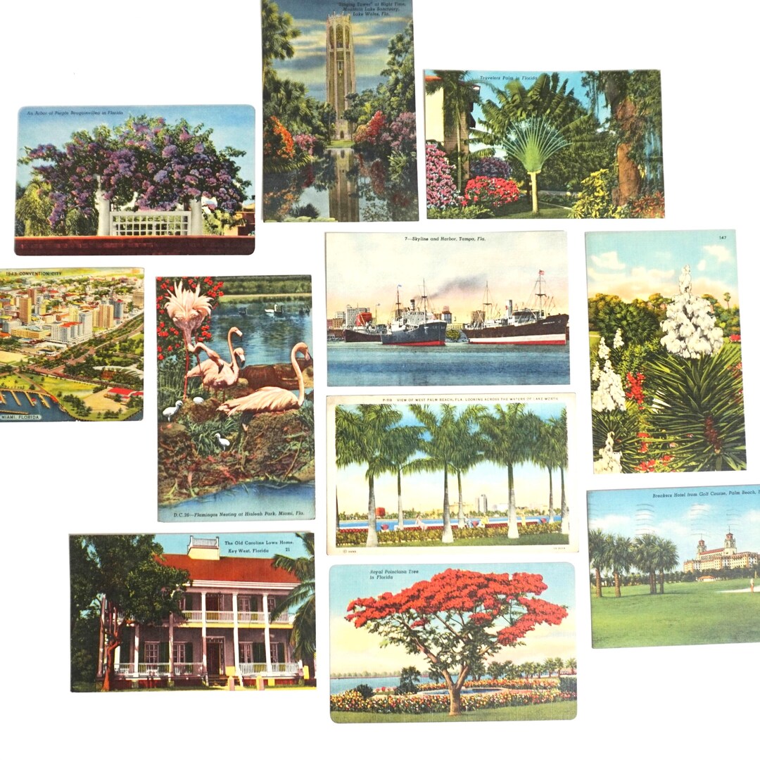 Florida / Vintage Picture Postcards / 12 Authentic Images - Etsy
