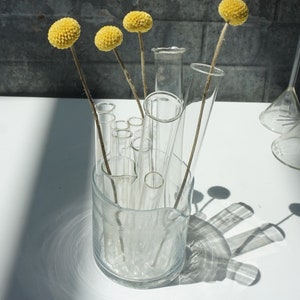 Science Glass / Test Tubes in a Beaker / Pyrex Laboratory Glass / Great ...