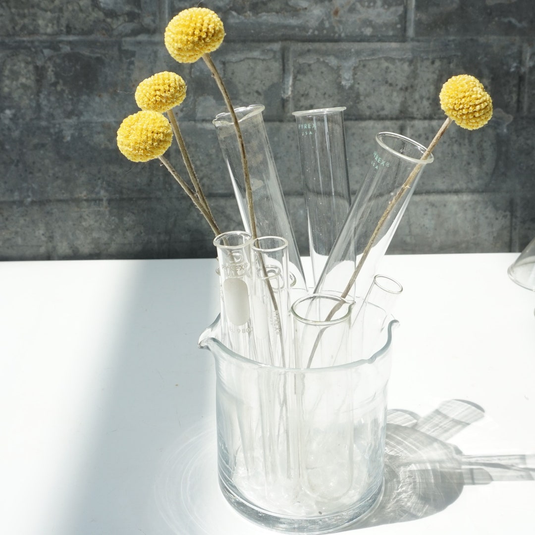 Science Glass / Test Tubes in a Beaker / Pyrex Laboratory Glass / Great ...