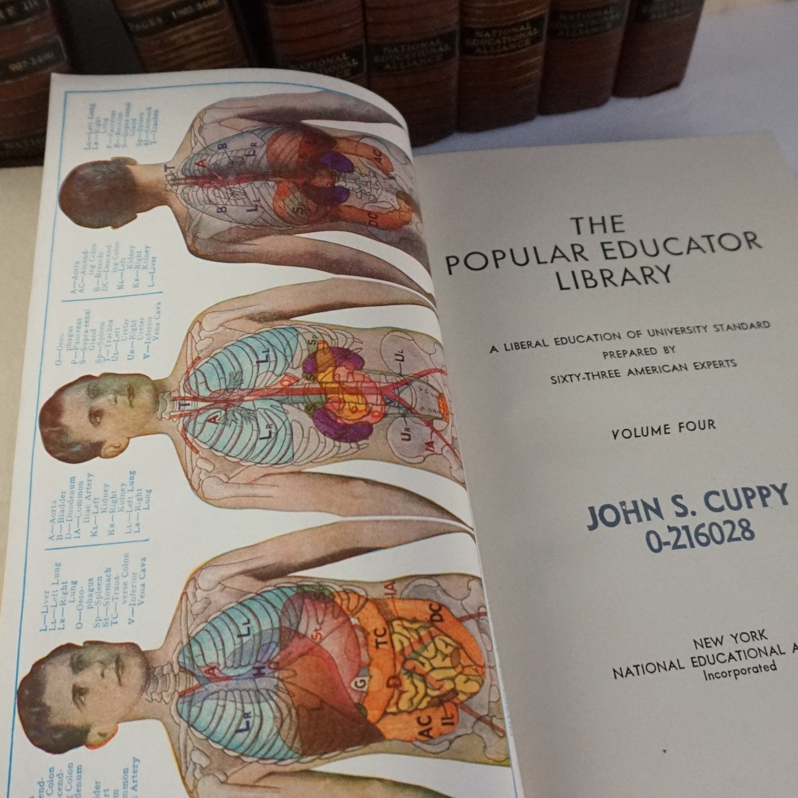 Popular Educators Library / 10 Volumes / Beautiful Library of - Etsy