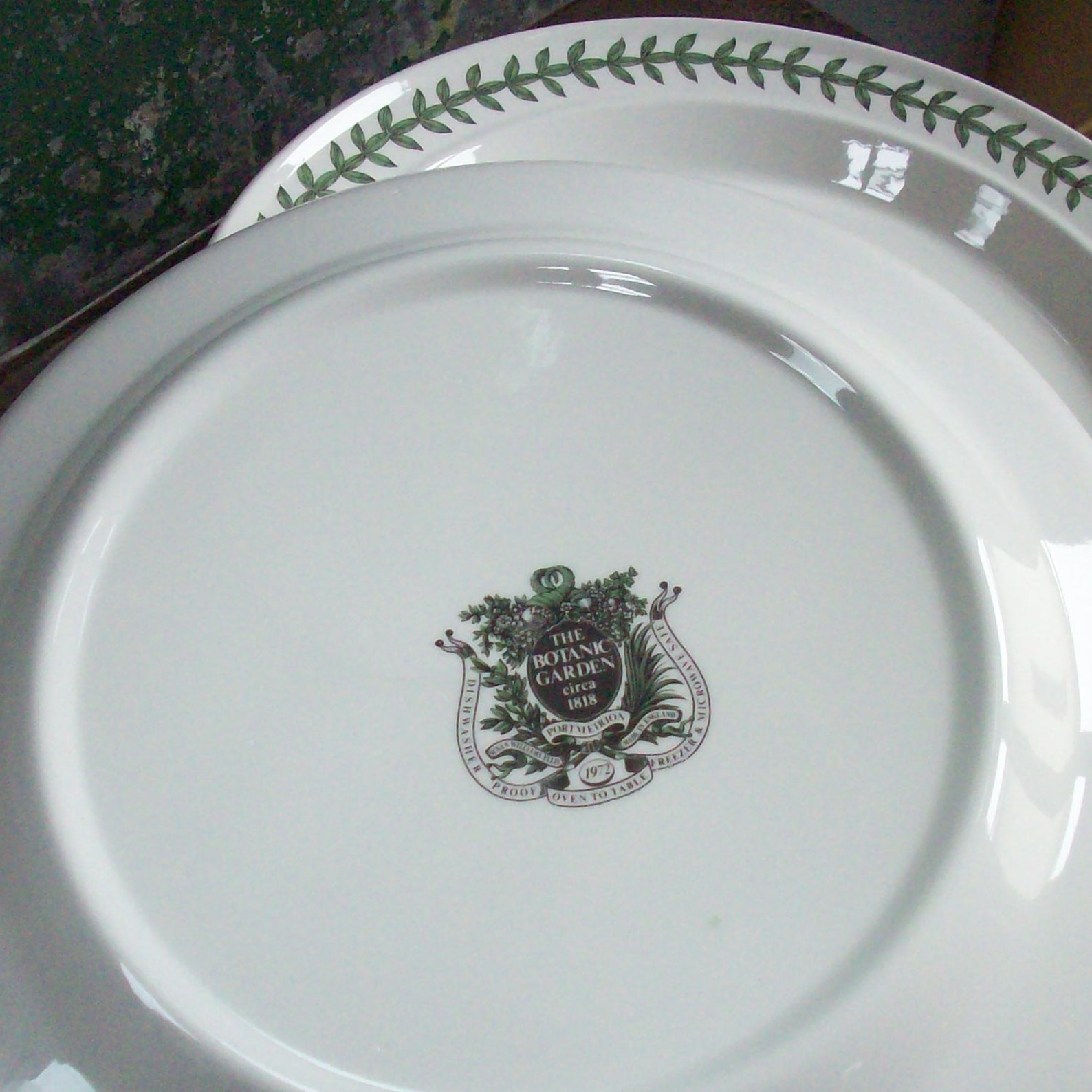 Vintage Portmeirion Botanic Garden China / Large Plate / Great ...
