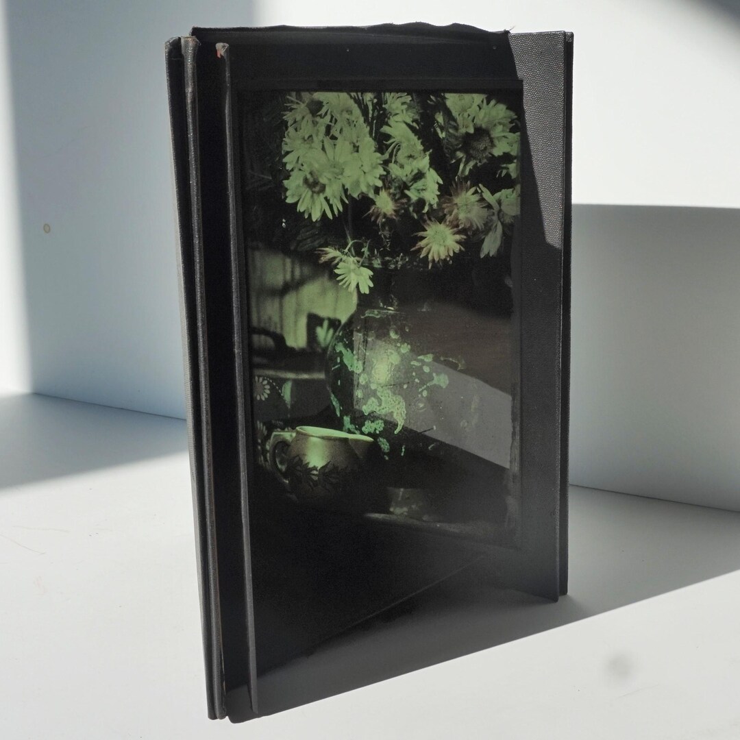 Agfa Glass Slide Display With Mirror / Very Rare Dark Image of a Vase ...