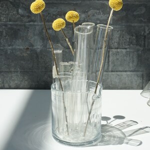 Science Glass / Test Tubes in a Beaker / Pyrex Laboratory Glass / Great ...