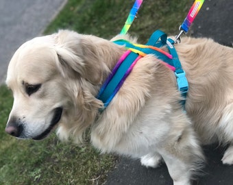 Dog Harness Fleece Lined With Matching Lead Options Flower Print Blue ...