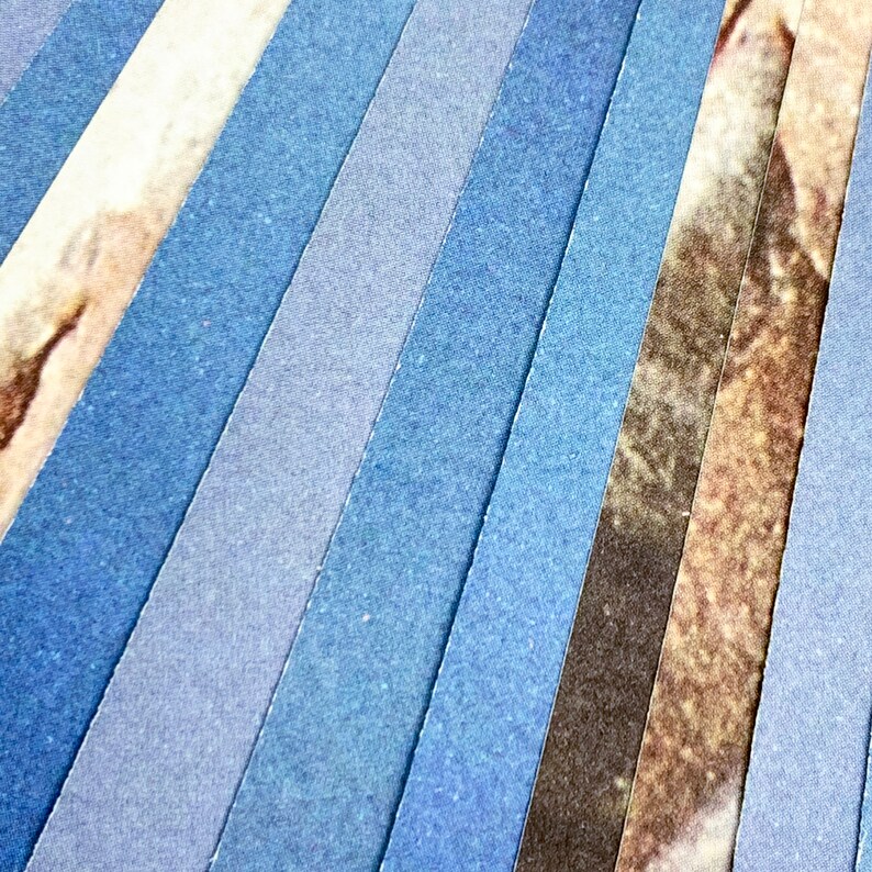 Paper Strips Double Sided Precut 1/2 or 1 Paper - Etsy