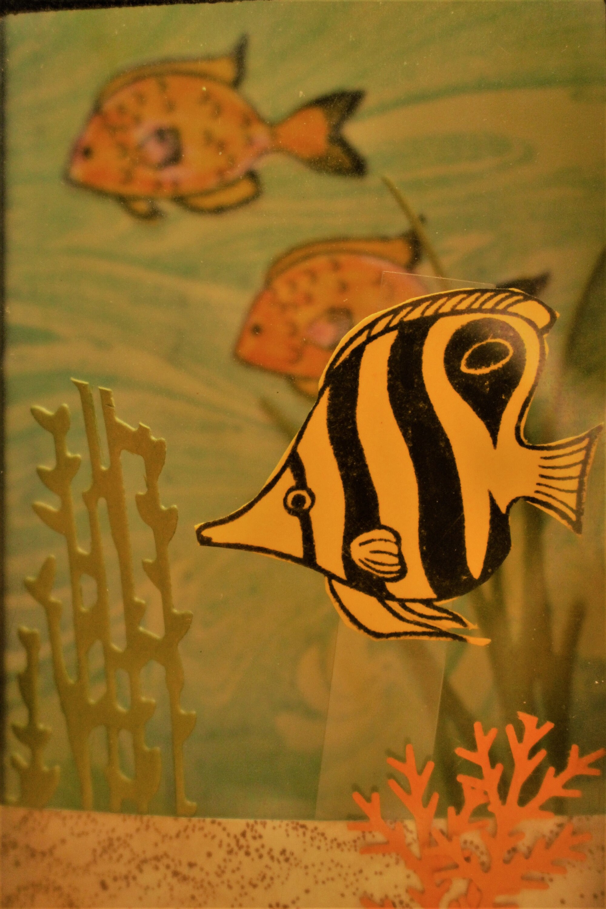 Aquarium Fish Tank Dimensional Card Friendship Card - Etsy
