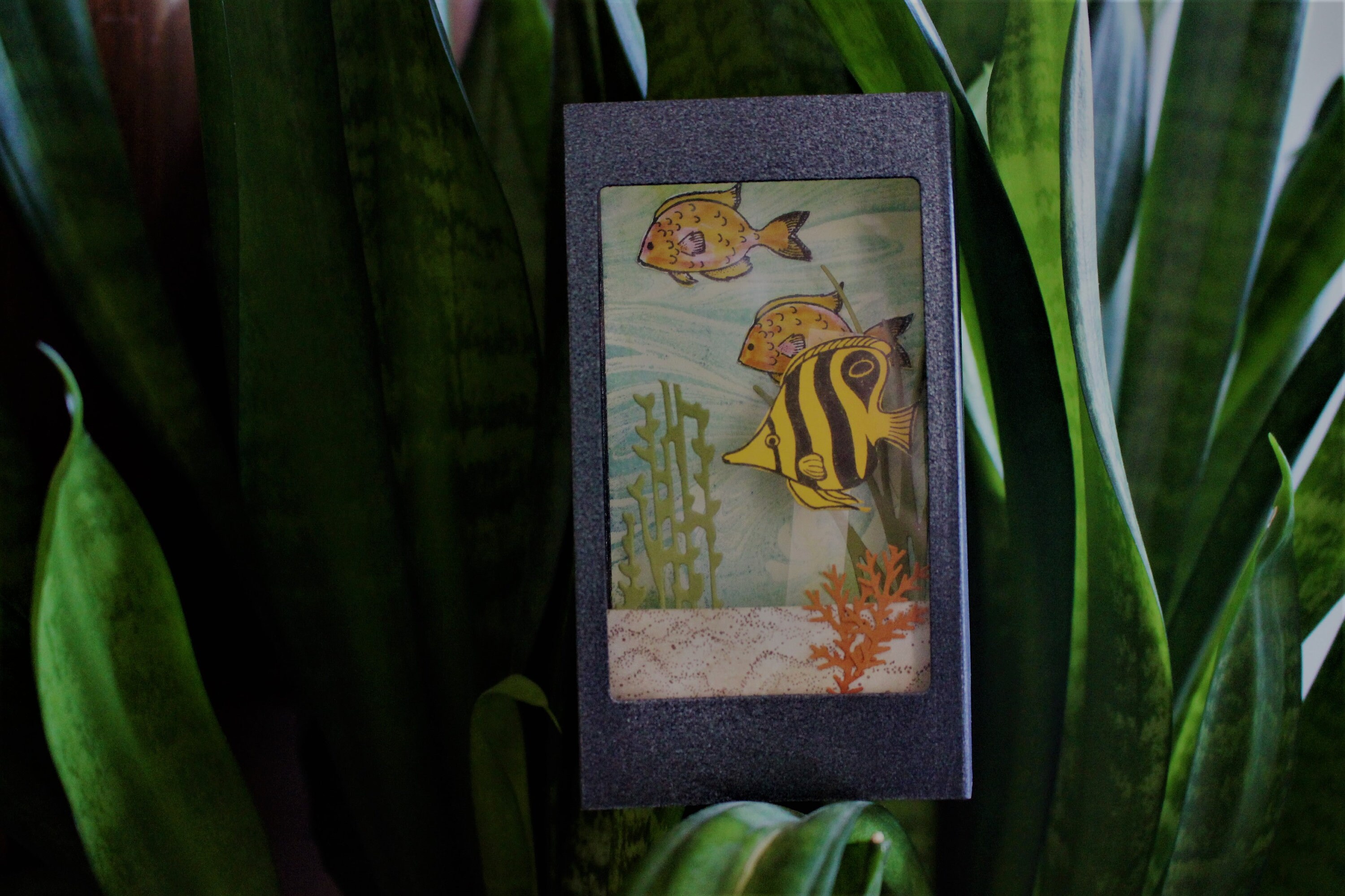Aquarium Fish Tank Dimensional Card Friendship Card - Etsy