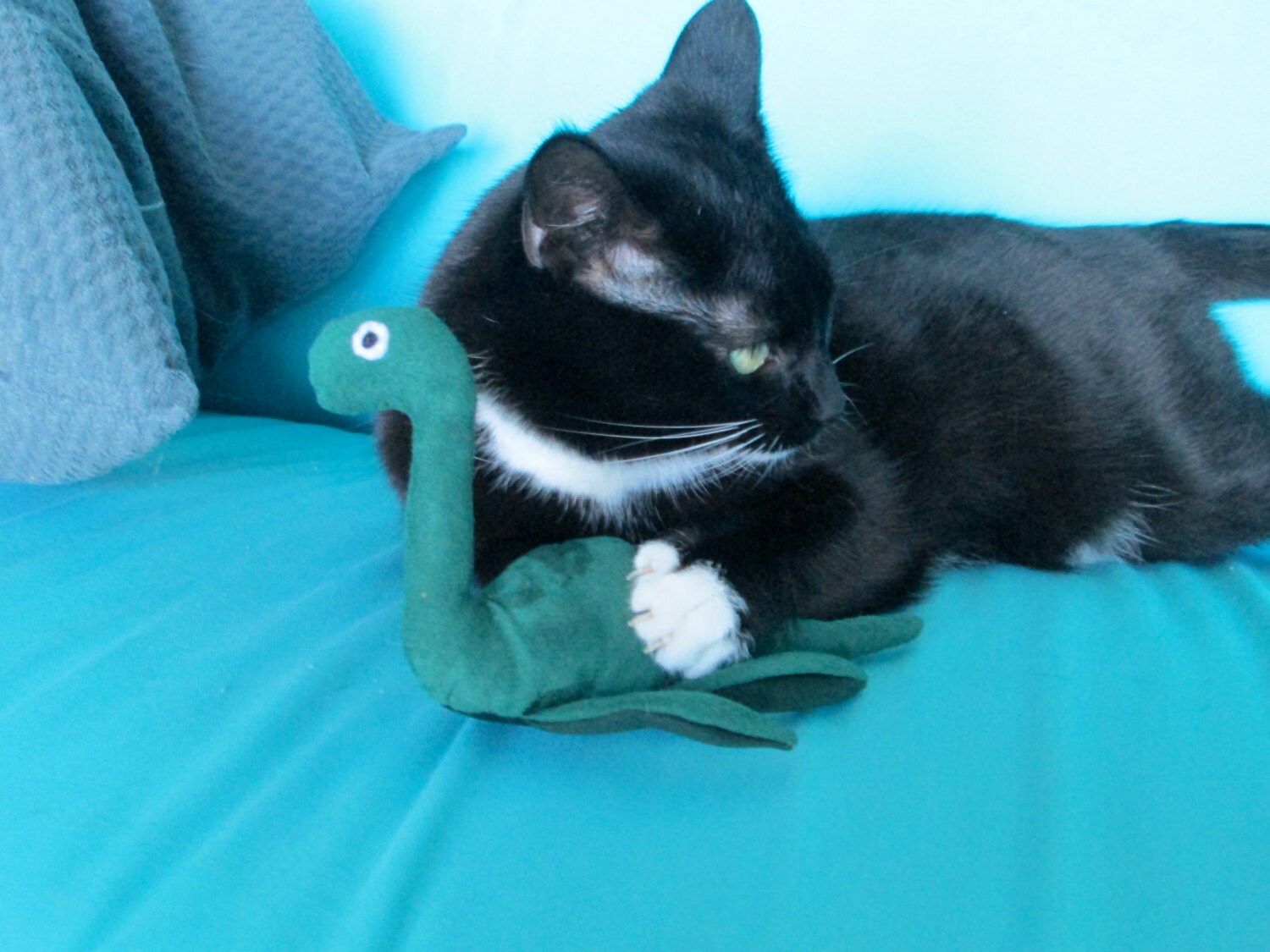 Loch Ness Monster Catnip Cat Toy - Etsy