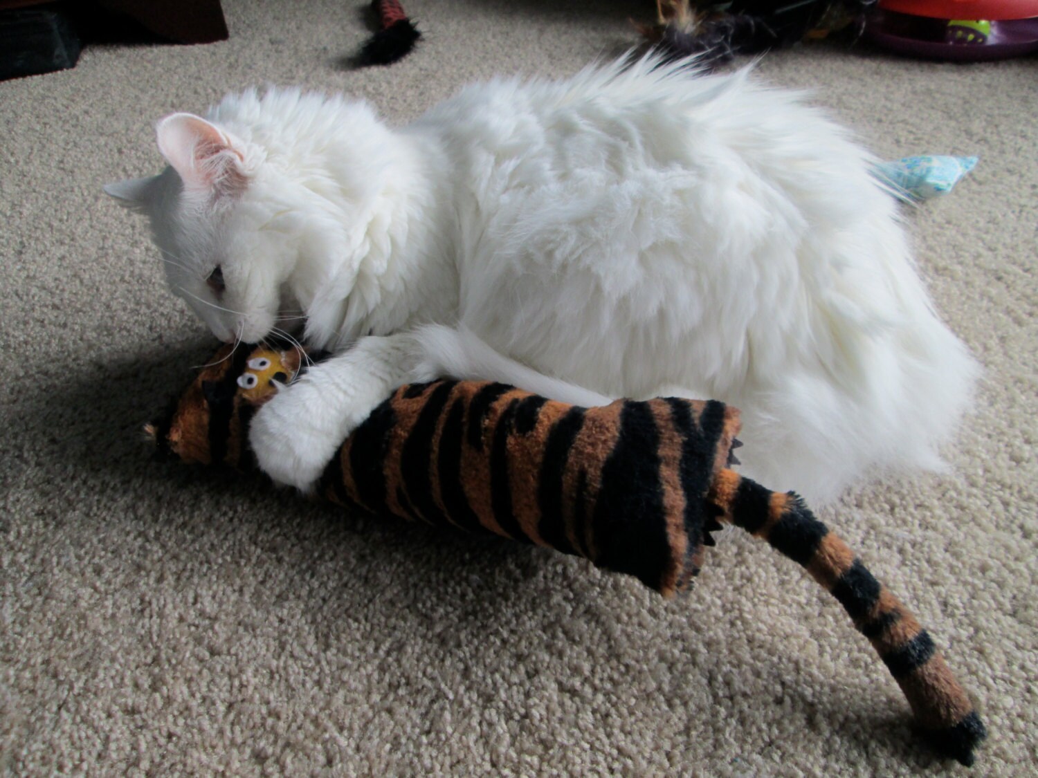 Saber Tooth Tiger Catnip Cat Toy - Etsy Ireland