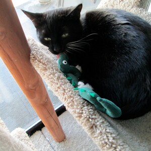 Ogopogo Catnip Cat Toy - Etsy