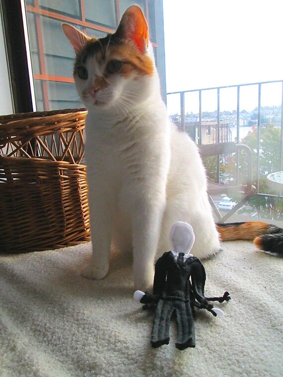 Slender Mans Pet