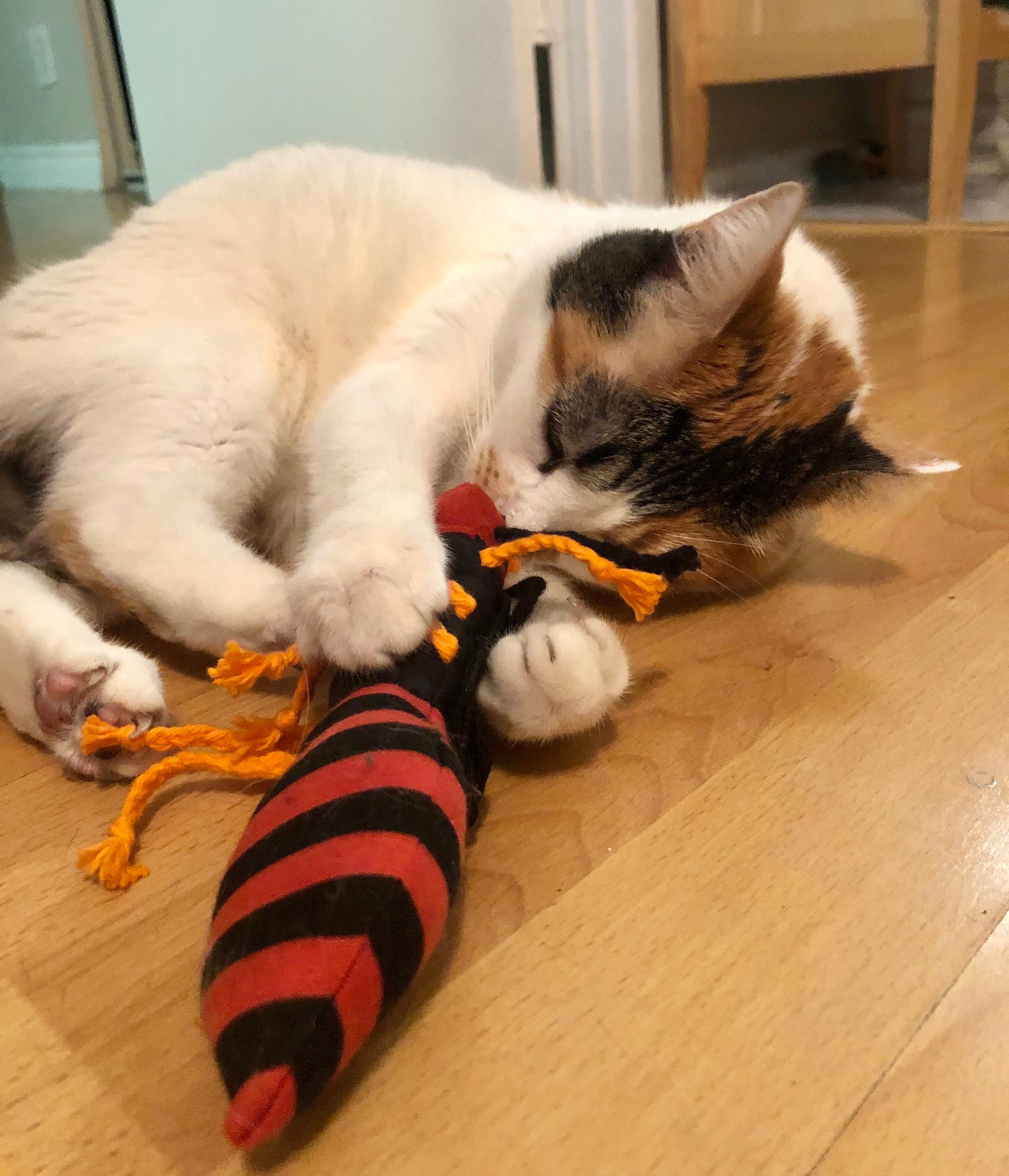 Murder Hornet Catnip Cat Toy - Etsy