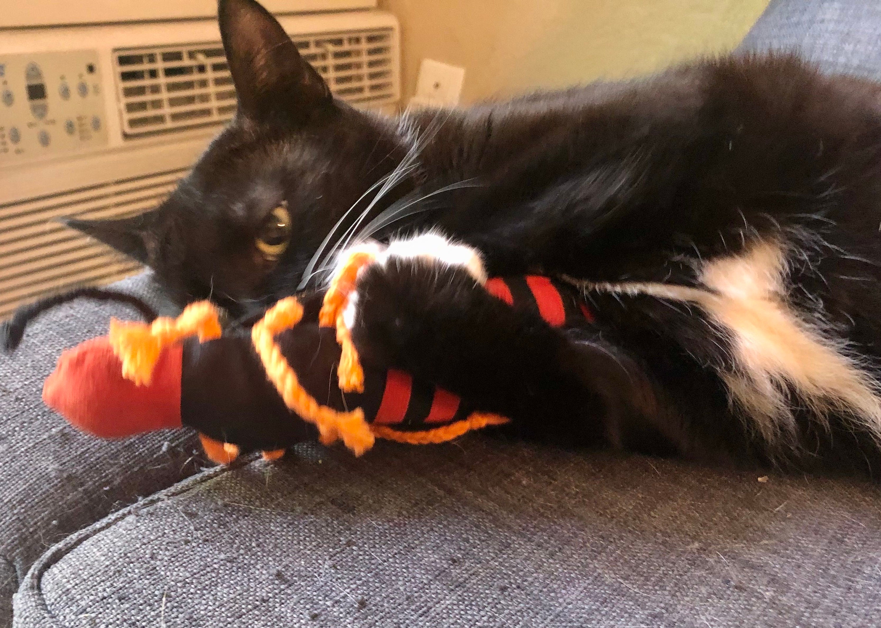 Murder Hornet Catnip Cat Toy - Etsy
