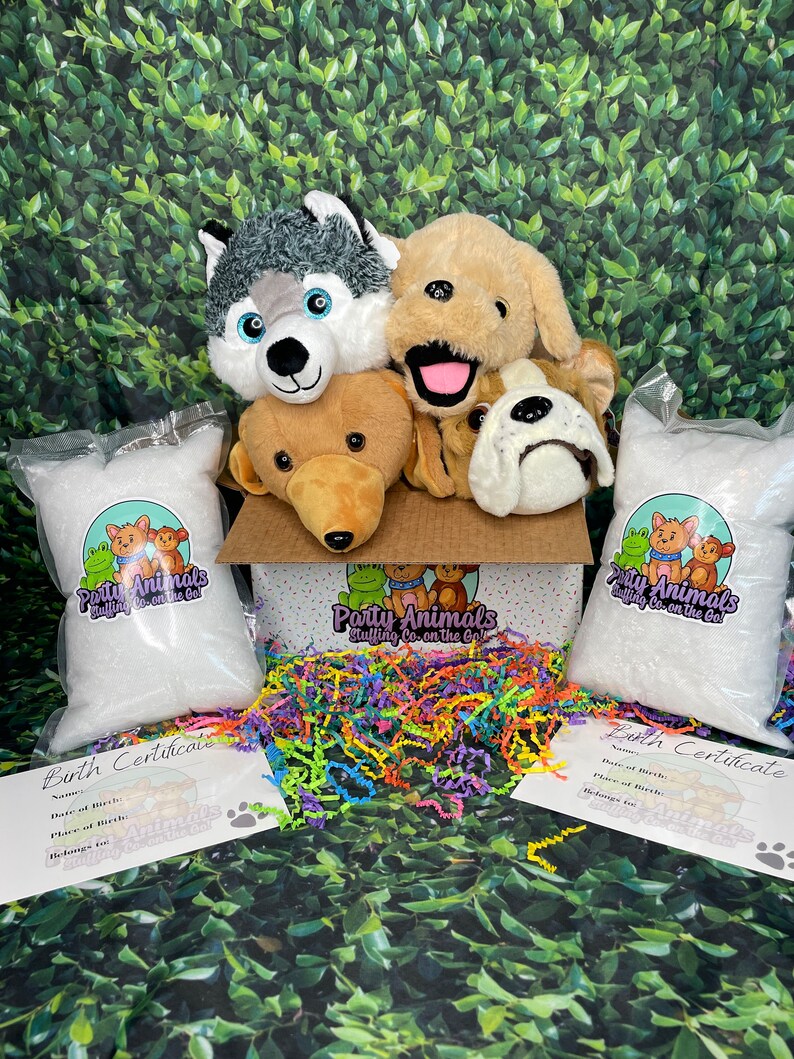 Party Package Custom Order Birthday Activity Party Favor Build a ...