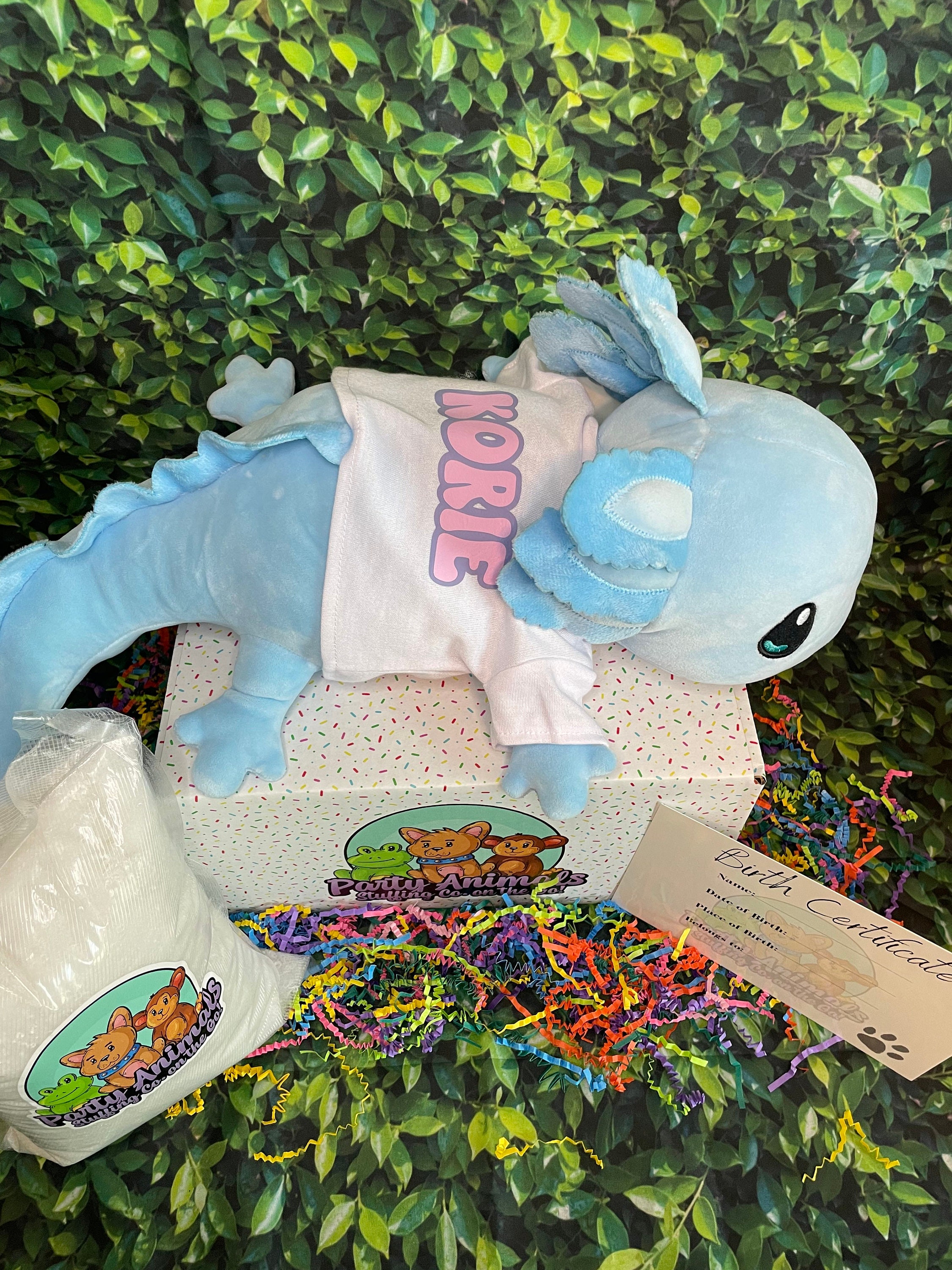 DIY Stuffed Axolotl Kit Stuffed Animal Kit 16 - Etsy