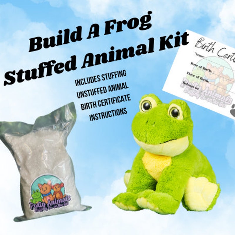 Frog Craft Kit - Etsy