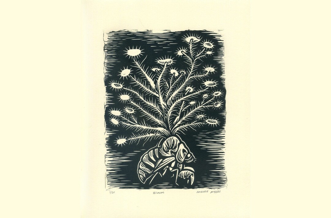 Bloom Cicada and Lichen, Linocut Relief Print - Etsy