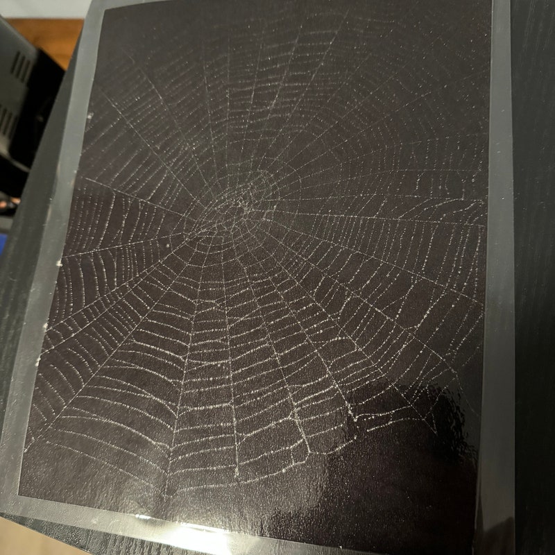 Framed Spider Web - Etsy