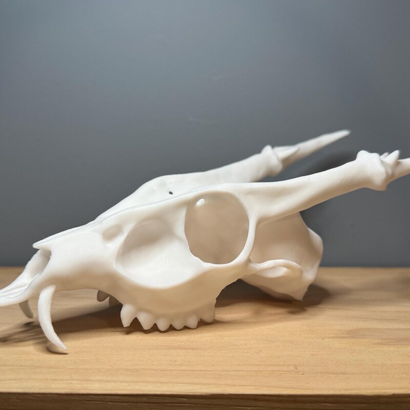 Fake Deer Skull - Etsy