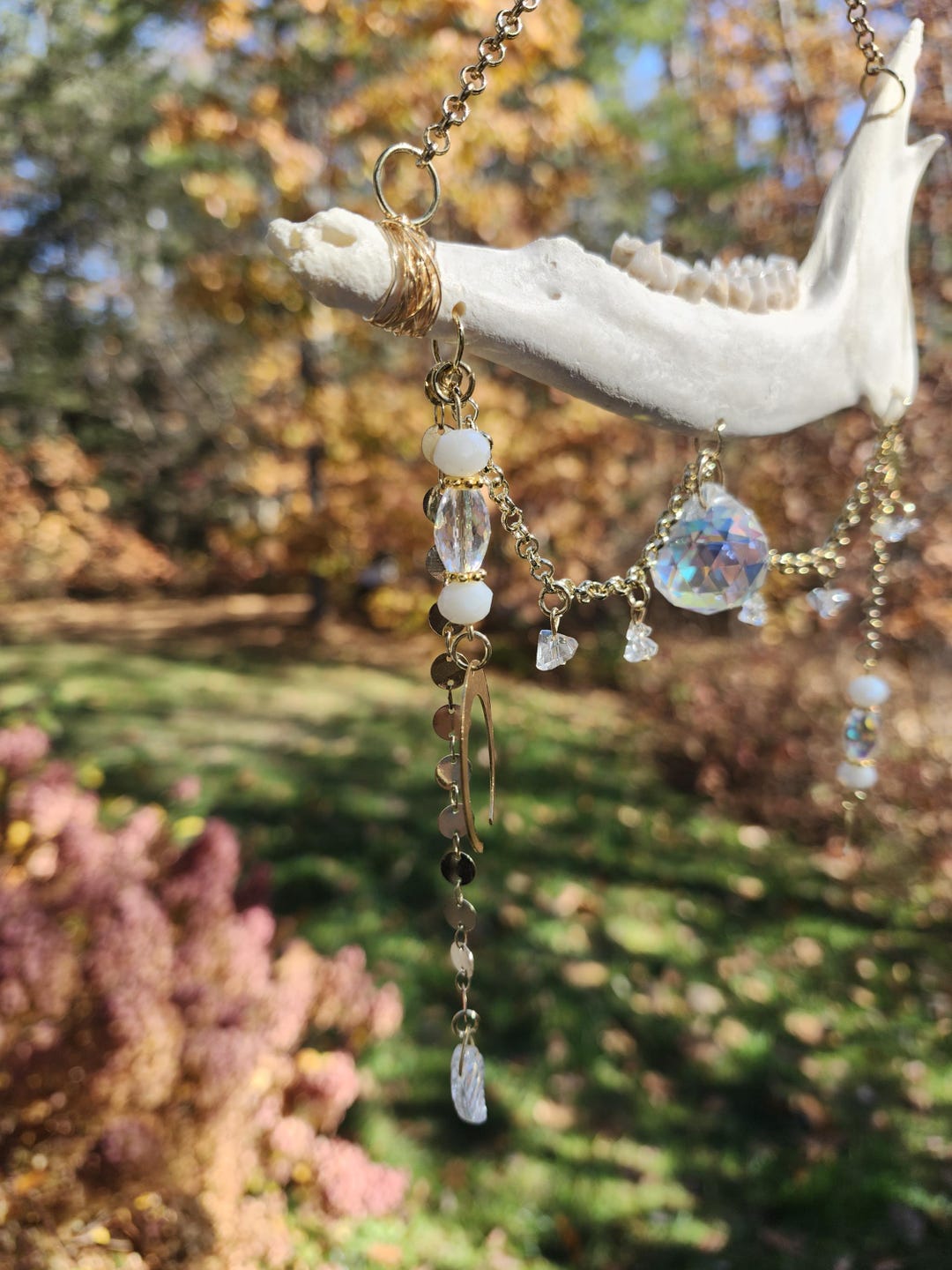 Bone Hanging Decor | Deer Jaw - Etsy