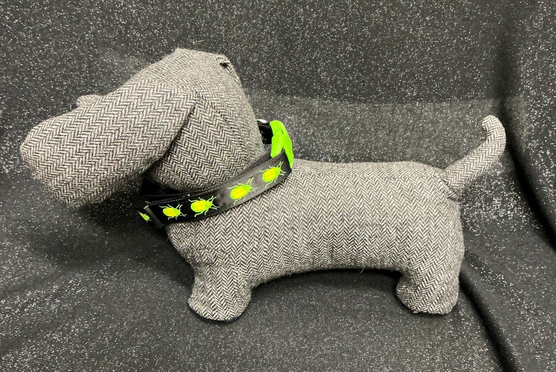 5/8 Feeling Buggy Collar - Etsy