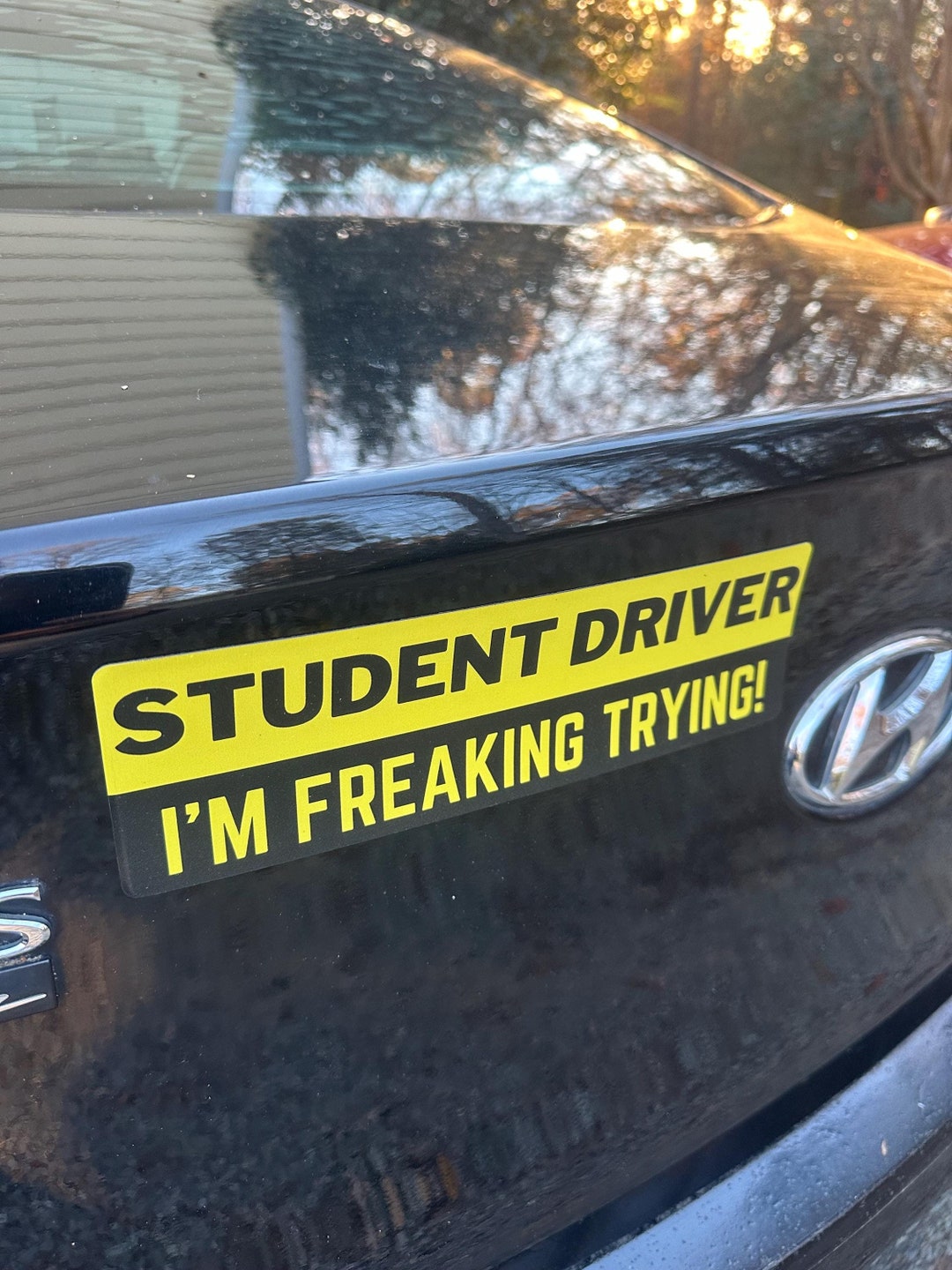I'm Freaking Trying Student Driver Car Magnet or Vinyl Bumper Sticker ...