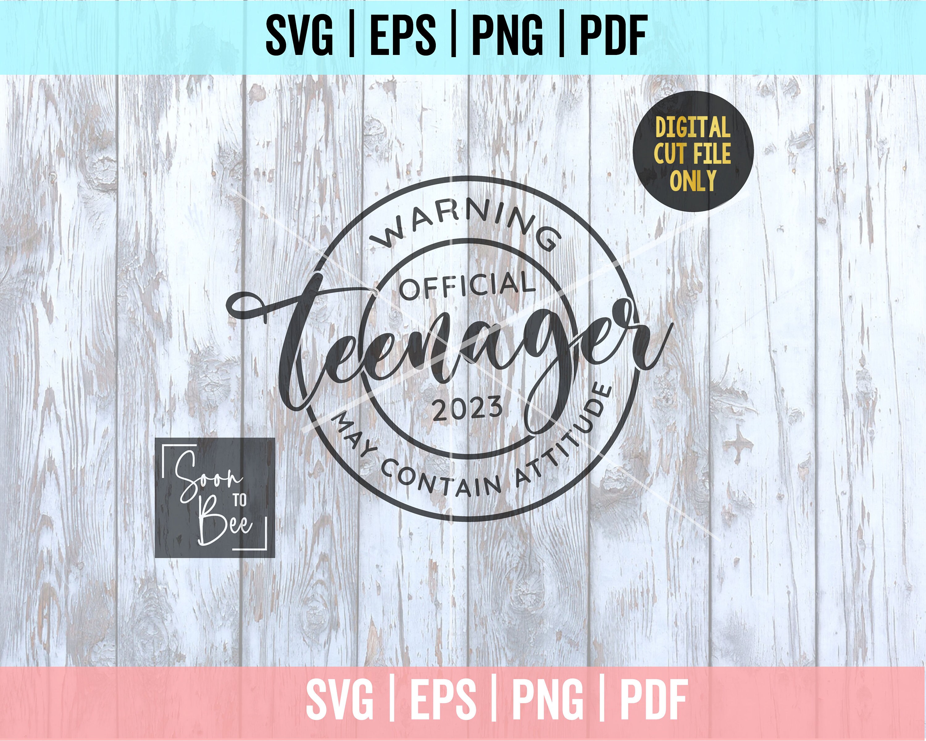 13th Birthday Shirt Svg Thirteen Svg 13 Birthday Teenager - Etsy