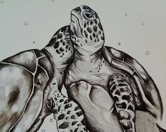 Sea Turtle Ink Drawing - Etsy