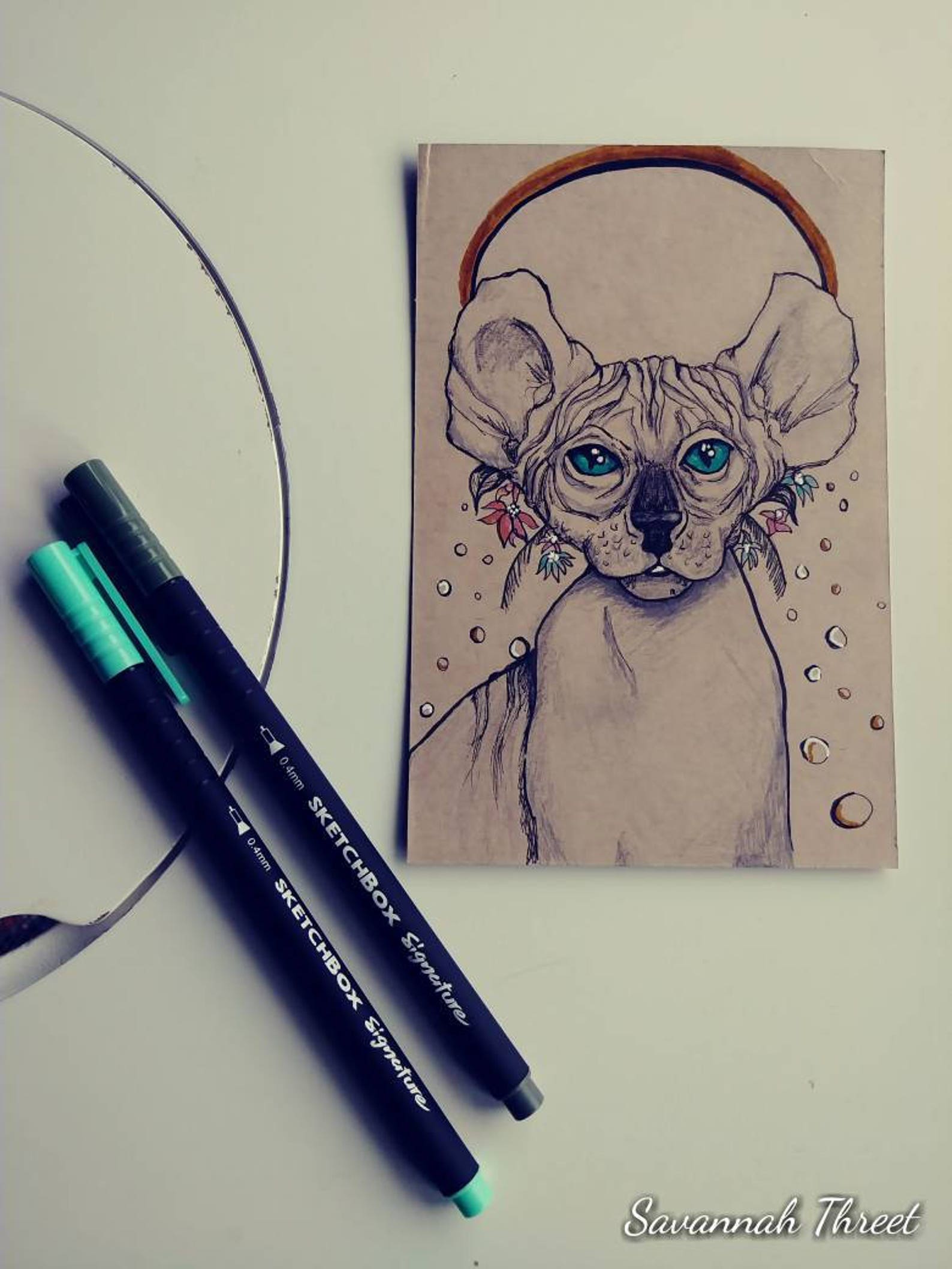 Meow Meow Drawing Ink and Graphite Hairless Cat Drawing - Etsy UK