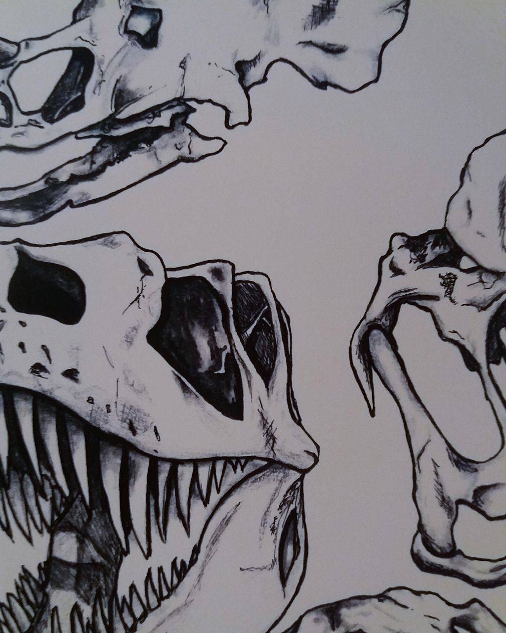 Dinosaur Ink Art Prints- 9X12 Size- Dino Art -original Prints -drawing ...