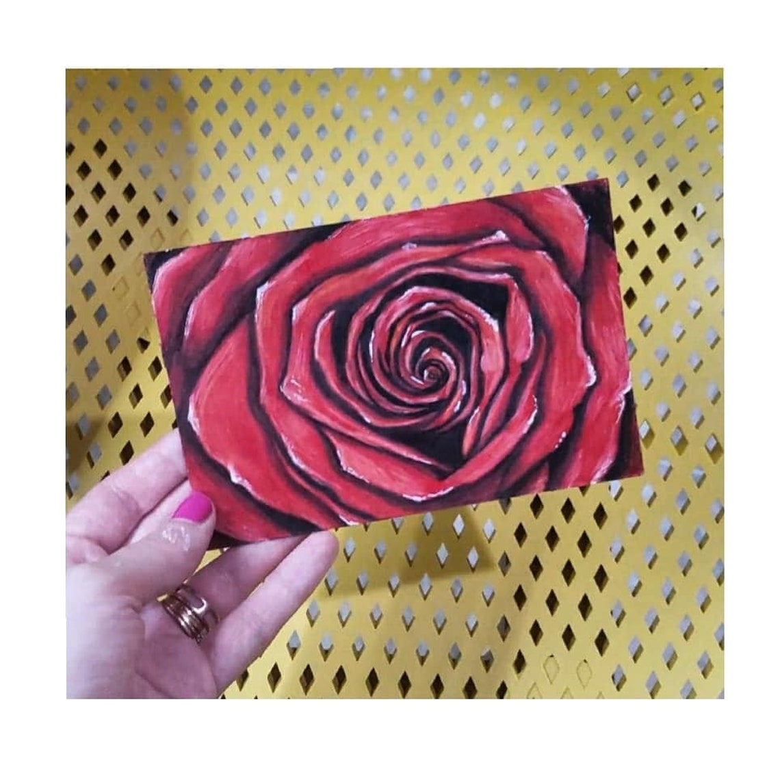 Colored Pencil Red Rose- Original Art Print by the Art Feels - Small ...