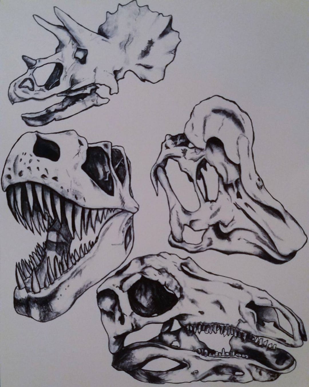 Dinosaur Ink Art Prints- 9X12 Size- Dino Art -original Prints -drawing ...